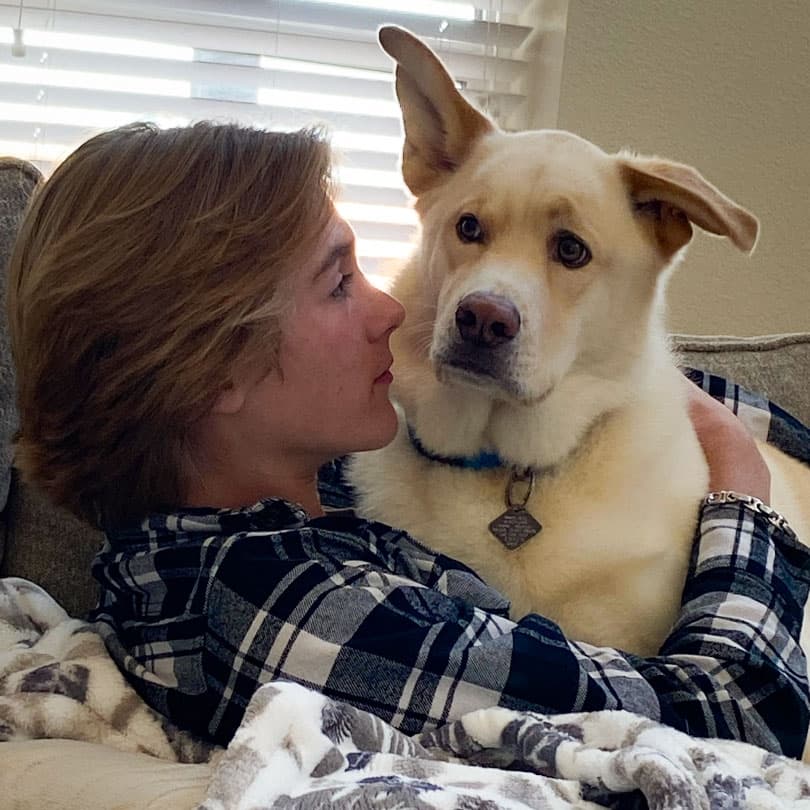 Home | God's Dogs Rescue