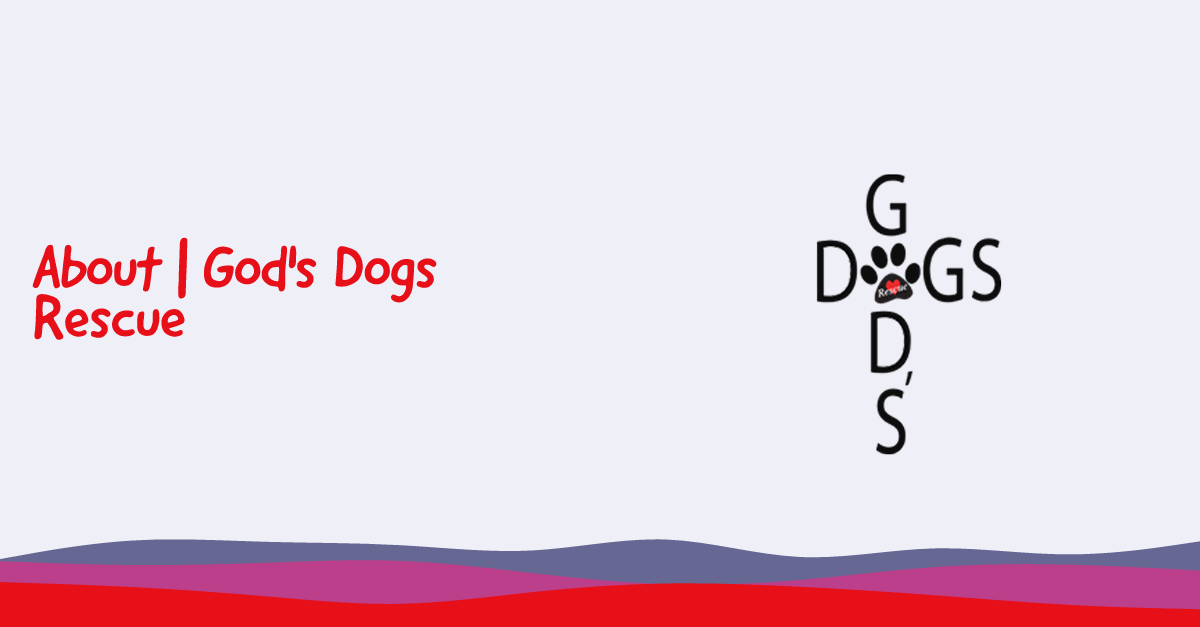 About | God's Dogs Rescue