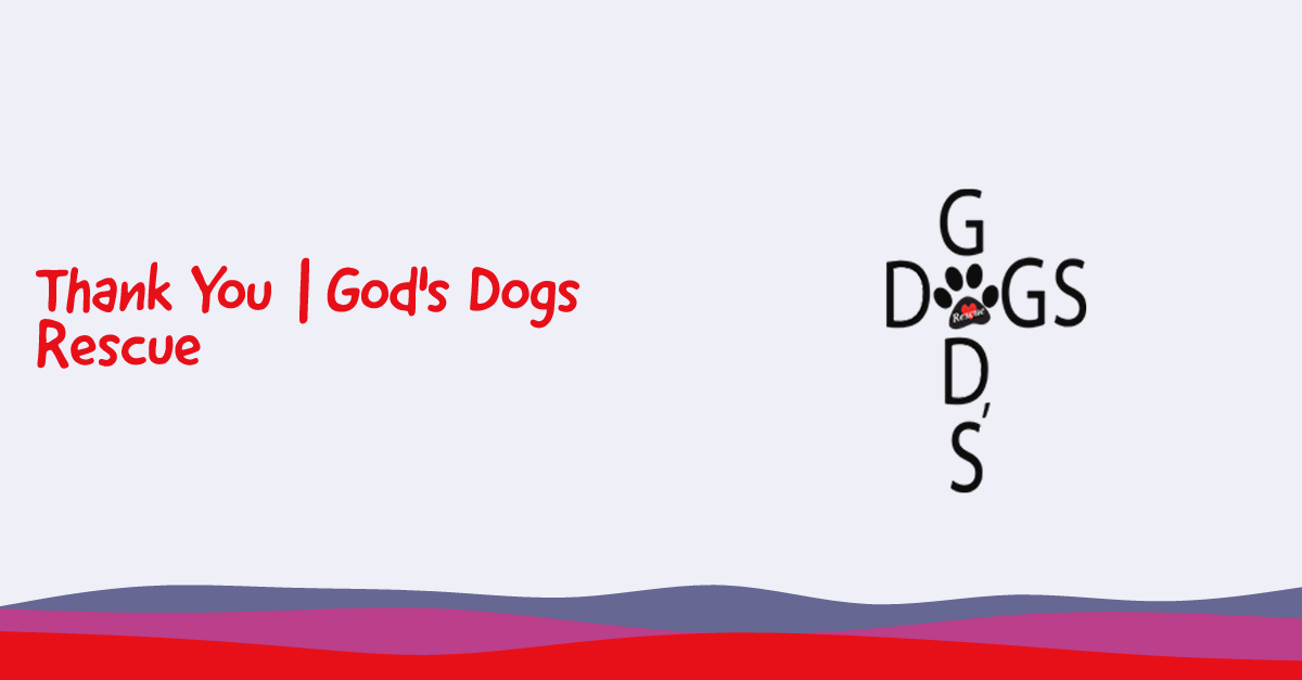 Thank You | God's Dogs Rescue
